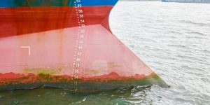 What is the Draft of a Cruise Ship? (and Why Does it Matter?) - Cruise ...